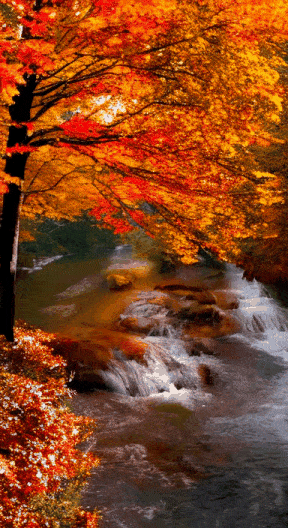 ComfyUI-EasyAnimate/README_zh-CN.md at main · chaojie/ComfyUI-EasyAnimate · GitHub