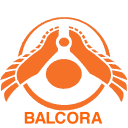GitHub - Balcora-Gate/hw-data-serialiser