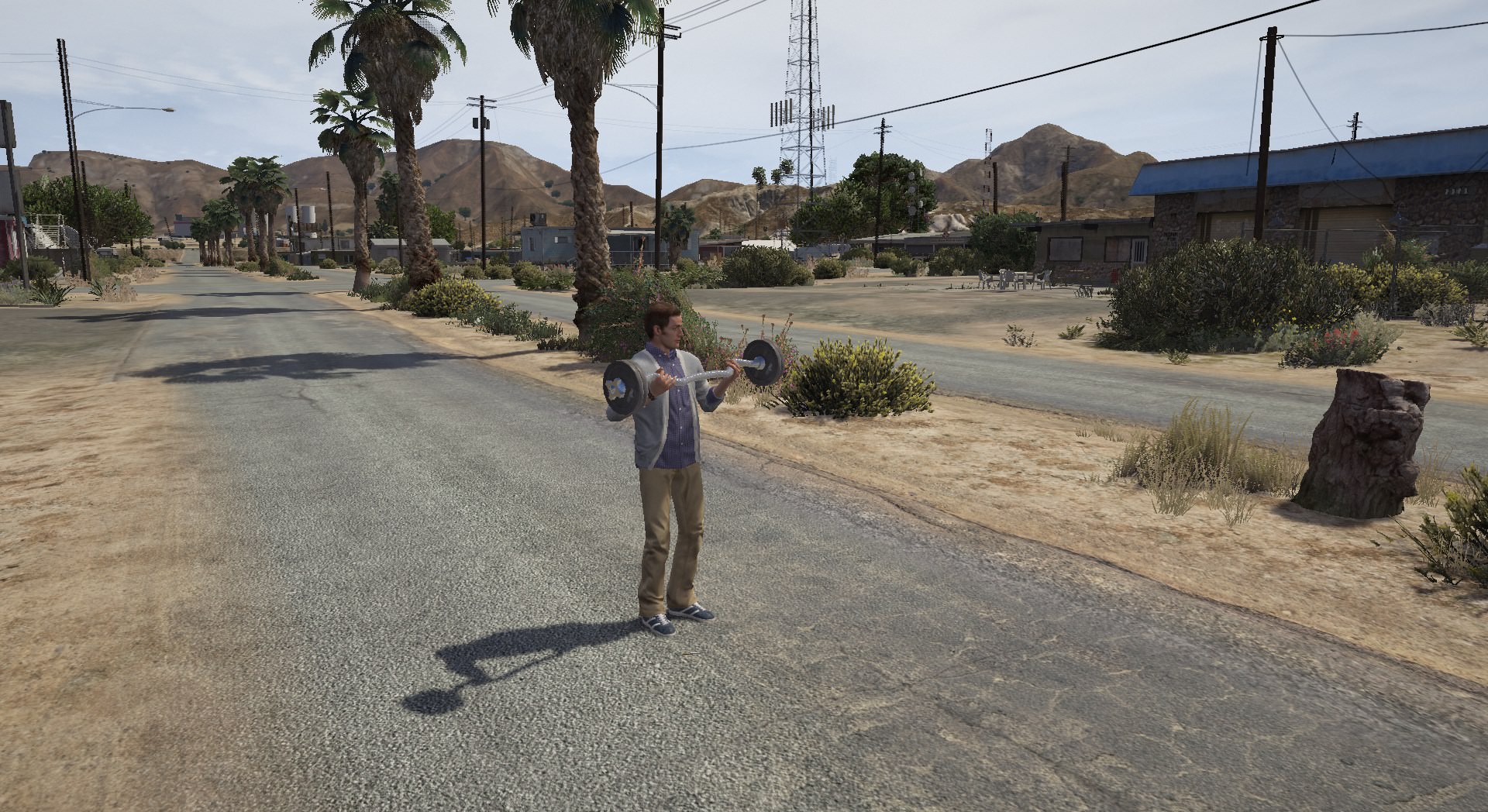 GitHub - CourtneyKitty/FiveM-Emotes: A simple emote script that is ...