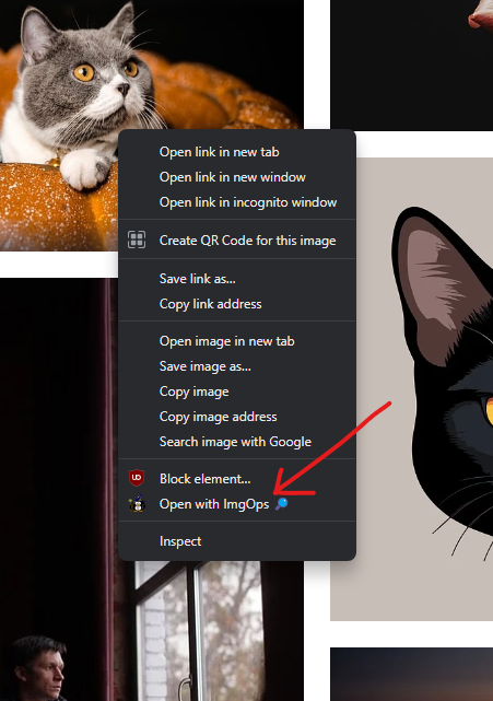 GitHub - majin-cs/PicWiz-Legacy: An unofficial ImgOps enhancing browser extension (Manifest V2)