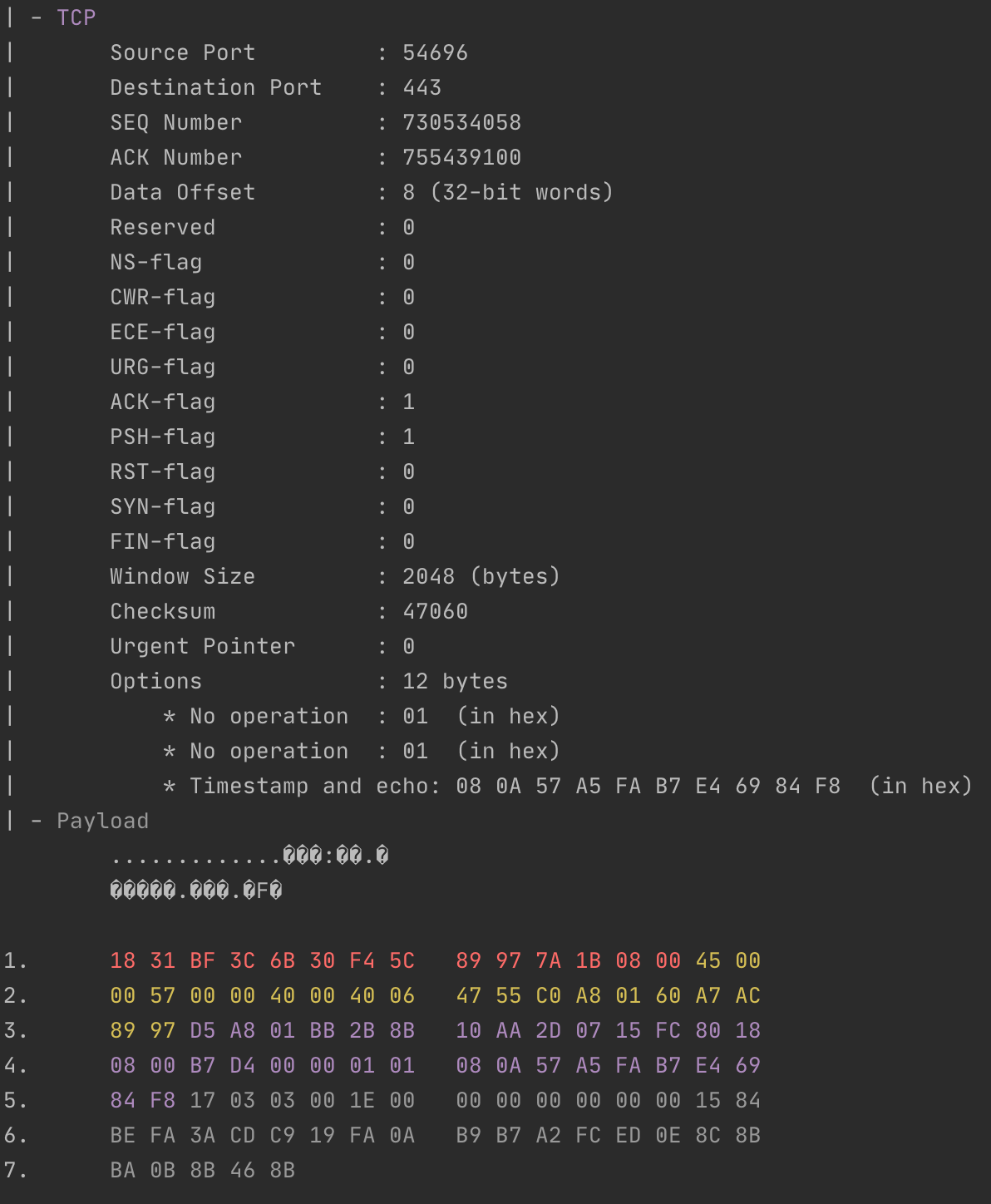 GitHub - Naxaes/packet-viewer: A terminal command for viewing network packets in pretty formatting.