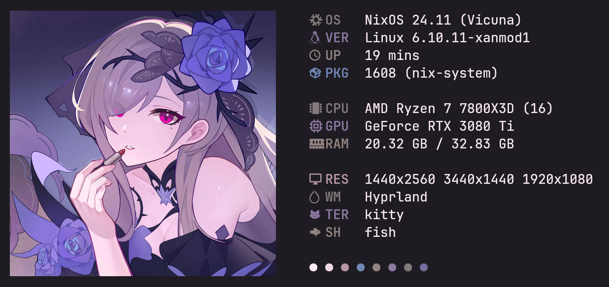 GitHub - iynaix/wfetch: Yet another fetch system info tool