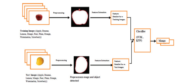 GitHub - knightempire/Fruits-Classification-App-with-Custom-TensorFlow ...