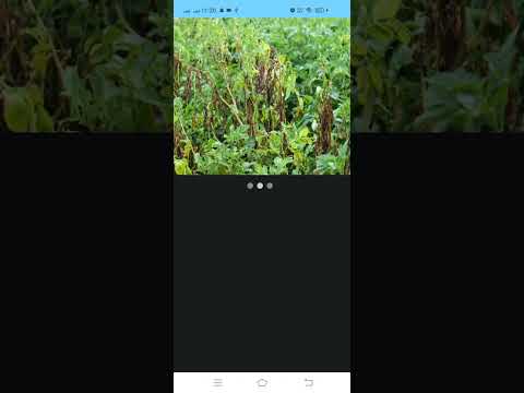 GitHub - ShahRukh30/Jetpack-Compose-Carousel