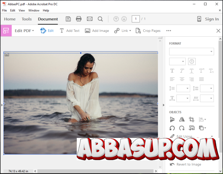 GitHub - shadowmoon862/Adobe-Acrobat-Pro-DC-Activated: Comprehensive collection of official ...