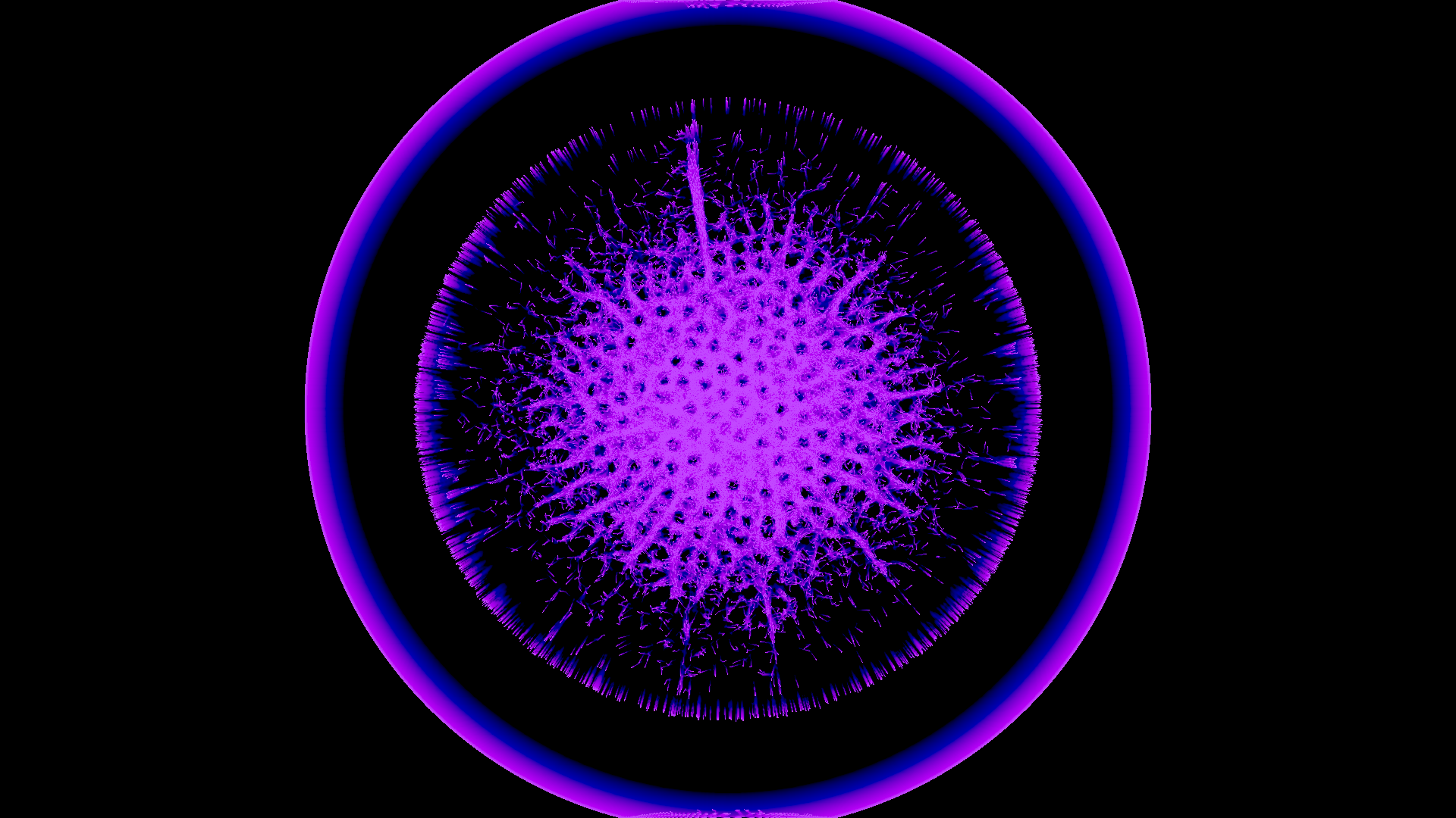 GitHub - mrinuccini/Slime-Simulation: Slime Mold Simulation made in ...