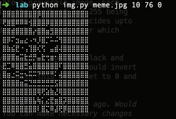 GitHub - prankulsingh/Braille-ASCII-Art